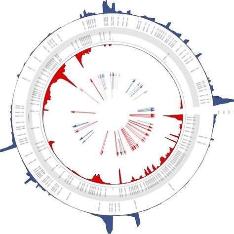 Log10 Transformed Coverage Of The Viral Genome In The Dcdna Sequencing