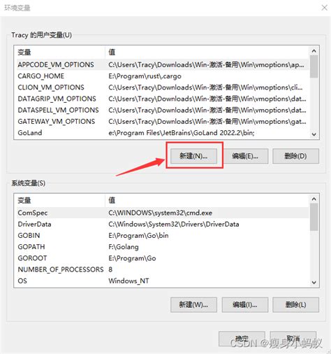安装rust（windows 10 与 centos7） rust安装 瘦身小蚂蚁的博客 csdn博客