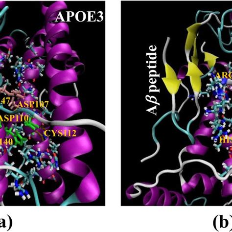 Best Structure Of Apoe3 Bound To Both Amyloid Beta Ab Peptide And