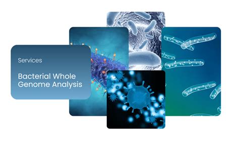 Bacterial Whole Genome Analysis Massive Bioinformatics