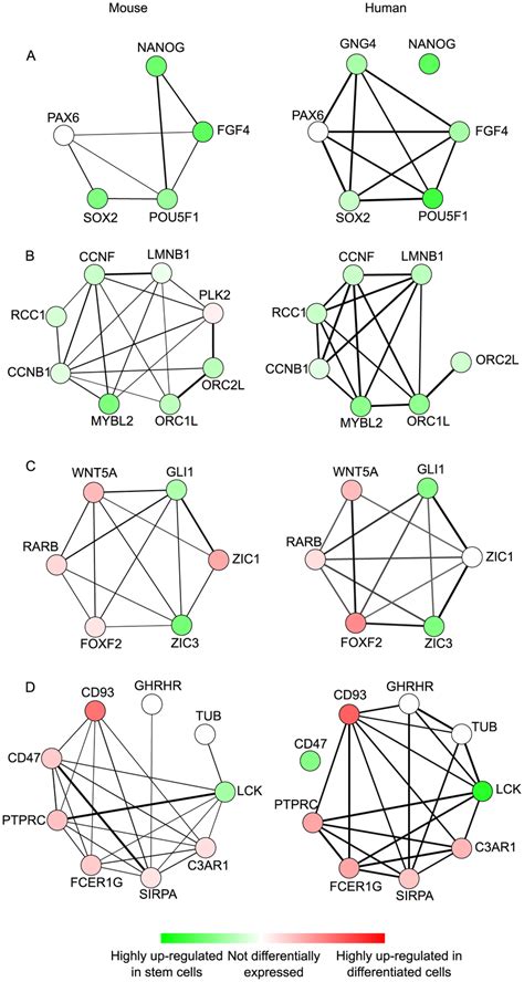 Examples Of Conserved Subnetworks Subnetworks A D Are Examples Of
