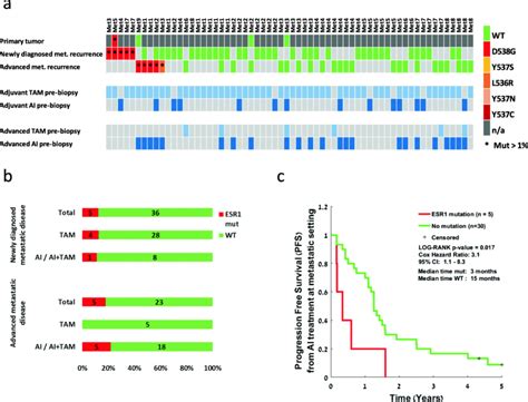 Esr1 Mutation Analysis In The Metastatic Cohort And Its Clinical