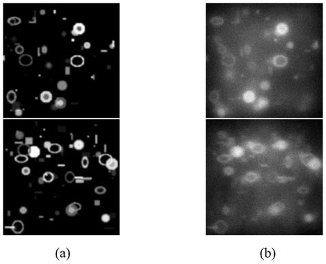 Microscope Deconvolution Neural Network Model Construction Method Based