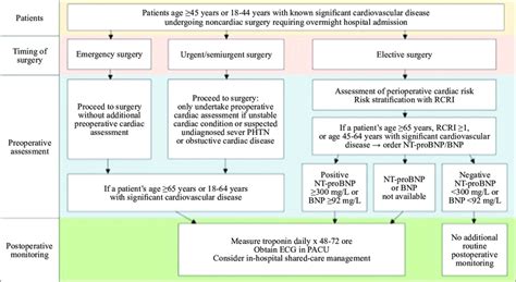 Preoperative Risk Assessment And Postoperative Monitoring Flow