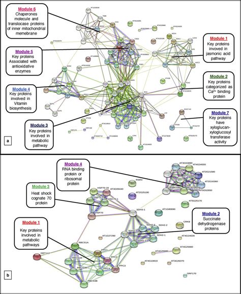 String Analysis Of The Differentially Expressed Transcripts