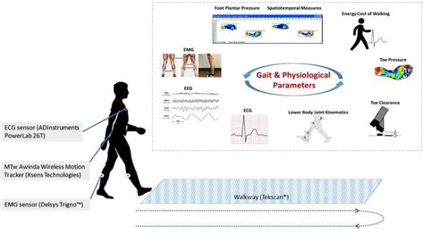 Frontiers Present And Future Of Gait Assessment In Clinical Practice