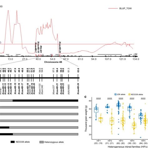 Dissection And Validation Of 4b Qtl Region Using Near Isogenic Line