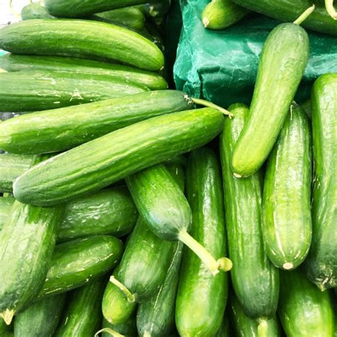 Persian Cucumbers Information Recipes And Facts