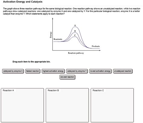 Activation Energy And Catalysis The Graph Shows Three Reaction Pathways