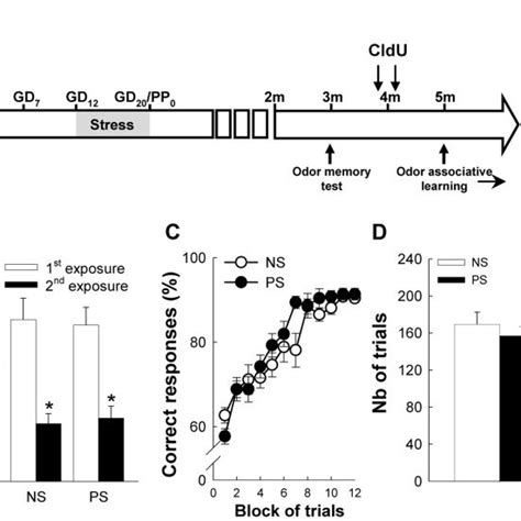 A Scheme Of The Experiment B Behavioral Performances In A