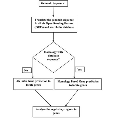 Flow Chart Illustrating Gene Prediction Procedure In A Stepwise Manner