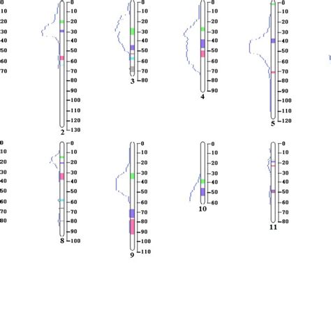 Meta Analysis Overview Analysis And Heatmap Of Multiple Tolerance Qtl