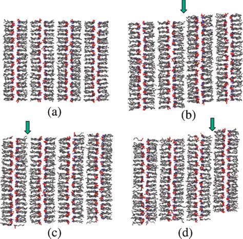 Snapshots From The Molecular Dynamics Simulation Trajectory Of The