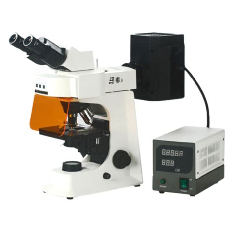 Smart Fl Fluorescence Microscope Vital Vision Technology Pte Ltd