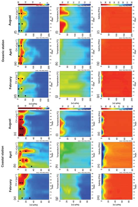 Bg Spatial And Temporal Variability In The Response Of Phytoplankton