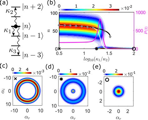 A The Three Dissipative Processes Of The Oscillator Two Photon Gain