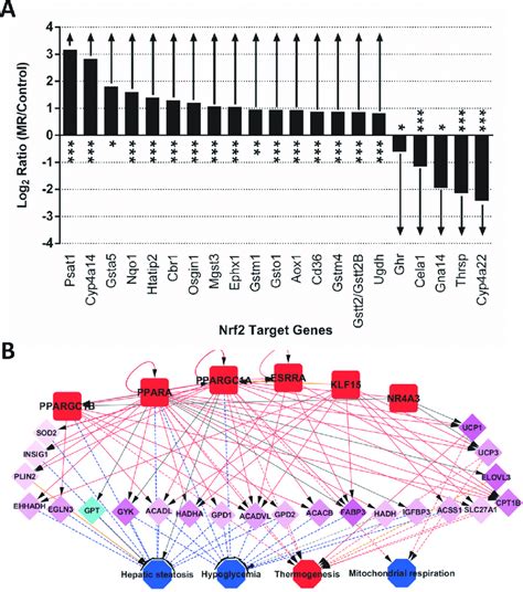 Prediction Of Upstream Regulators Involvement In The Transcriptomic