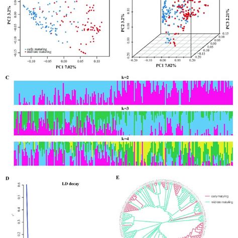 Principal Component Analysis Pca Population Structure Linkage