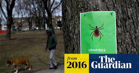 ticks that carry lyme disease live in almost half of us counties