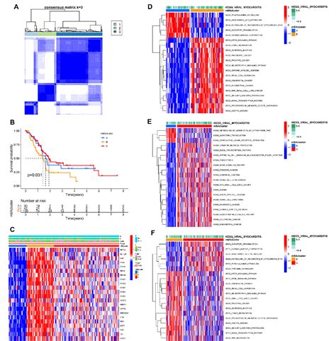 Figure 2 From Analysis Of N6 Methyladenosine Modification Patterns And