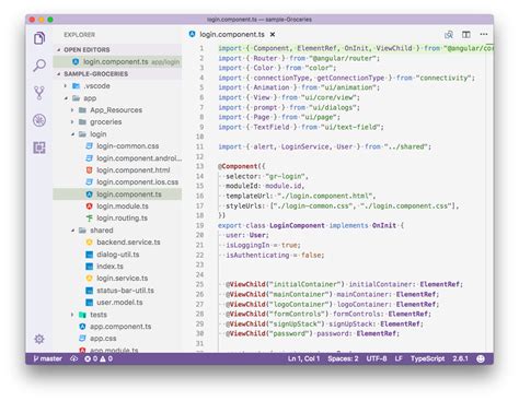 my nativescript development workflow