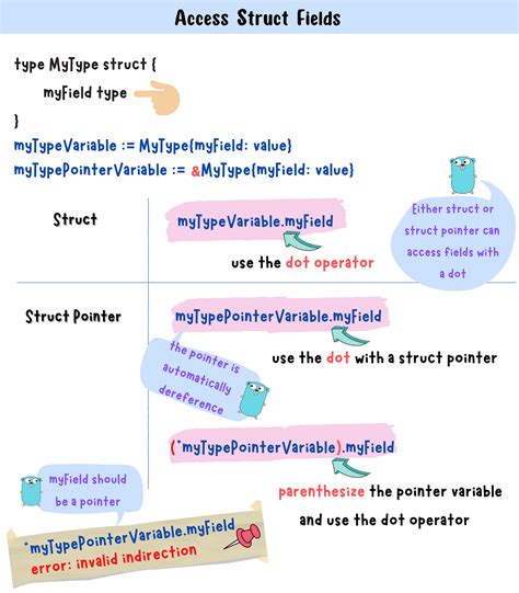 golang access struct fields claire lee medium