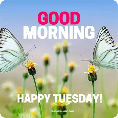 Good Morning Tuesday Image With Butterfly In 2021 Good Morning Images