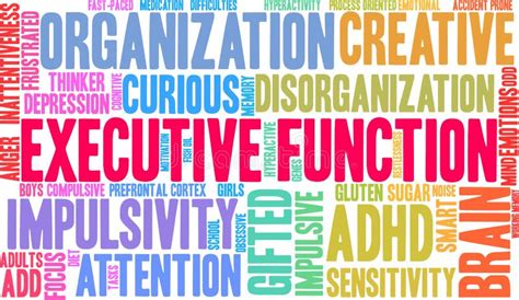 Growing Brain Clipart With Executive Function