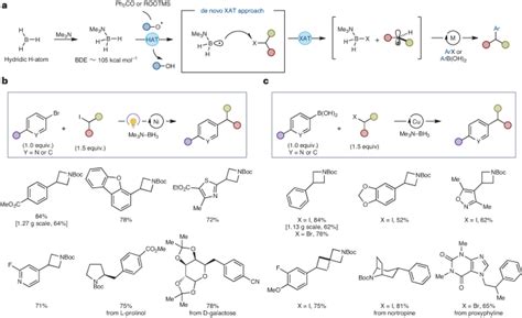 Boryl Radicals Facilitate C Sp2 C Sp3 Cross Coupling Reactions