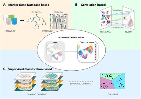 Automated Methods For Cell Type Annotation On Scrna Seq Data