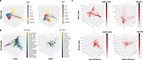 Trajectories Across T Types On The Latent Space After Nonlinear