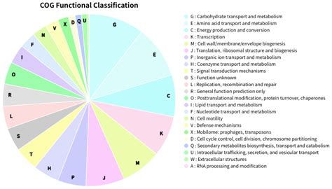 Github Moshi4 Cogclassifier A Tool For Classifying Prokaryote