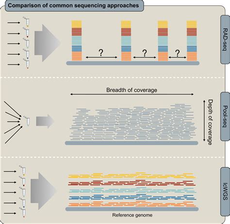 Ddls Population Genomics In Practice Variant Calling
