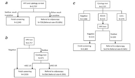 A Flowchart Of Hpv Dna And Cytology Cutoff At Asc Us Co Test B