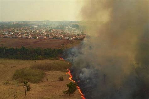 40 Do Pantanal No Mato Grosso Foi Destruído Por Queimadas Em 2020 Diz