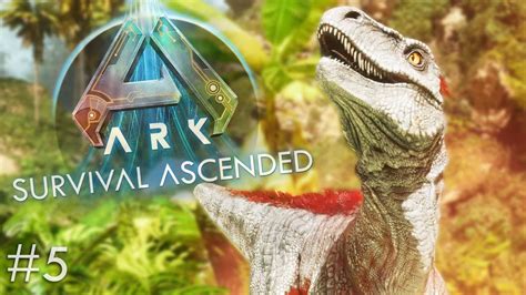 Gefährliche Alpha Raptor Jagd⚠️ Ark Survival Ascended Youtube