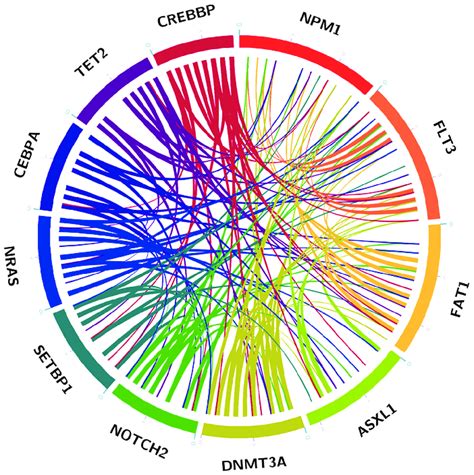 Combined Mutations Of 11 High Frequency Mutations Different Colours