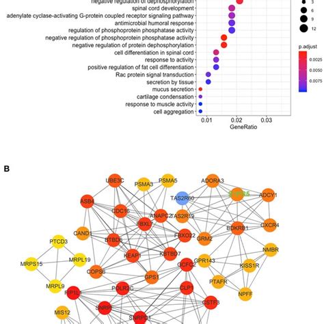 Kegg Pathway And Mrna Interaction Network Analysis Based On The