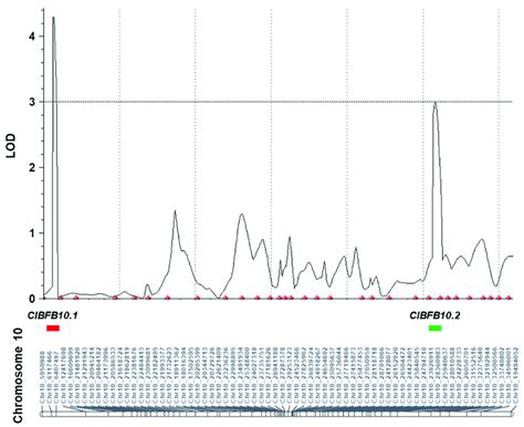 Quantitative Trait Loci Qtls Associated With Resistance To Bacterial