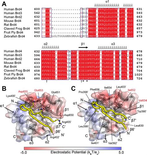 Structure Of The Brd4 Et Domain Bound To A C Terminal Motif From γ