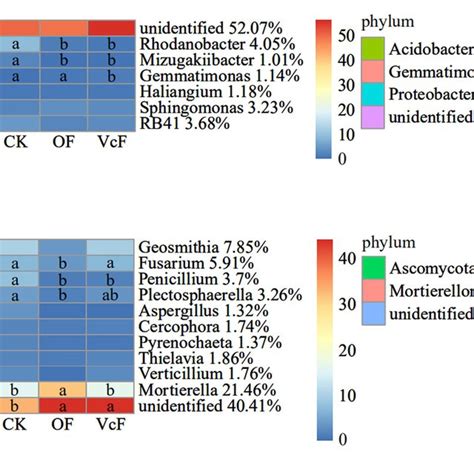 Bacterial Taxonomy Variations A And Fungal Taxonomy Variations B At
