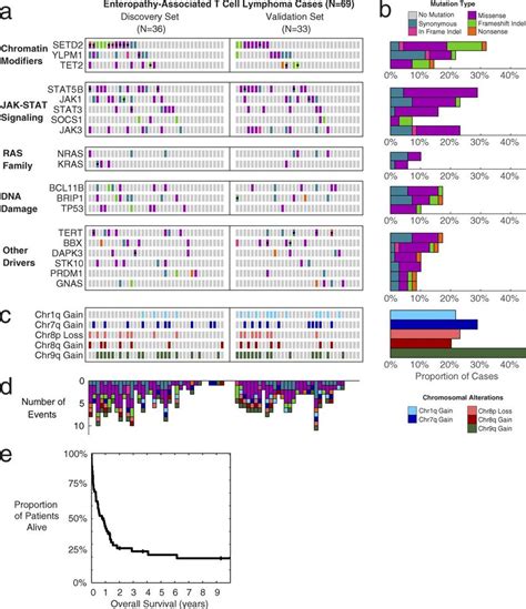 Somatic Mutations Copy Number Alterations And Survival Of Eatl