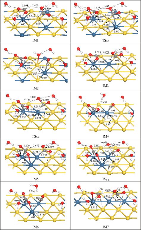 Optimized Geometries Of Intermediates And The Transition State Involved
