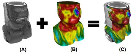 Sensors Free Full Text 3d Multi Modality Medical Imaging Combining