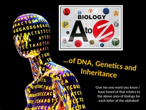 Inheritance A Complete Set Of Resources For Edexcel Igcse Biology