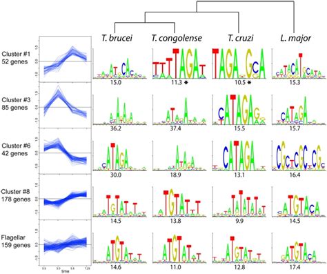 Cluster Expression Profiles From Dce Rna Seq Data Are Plotted On The