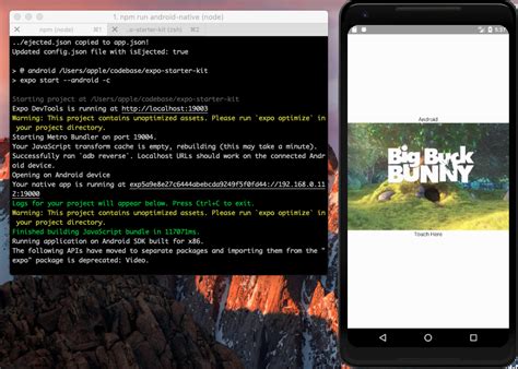 running expo and raw react native together inapps