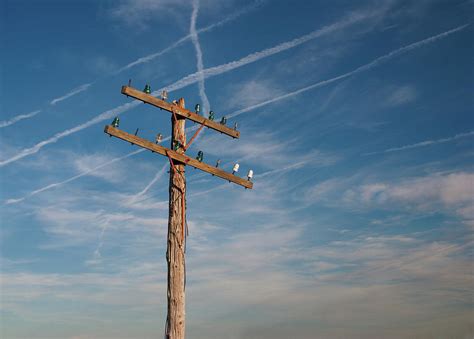 telegraph line photograph by grant groberg