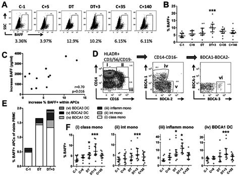 Surface Baff Expression On Dc And Monocyte Populations During Chmi