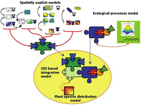 2 Methodological Scheme Of The Ecological And Spatial Plant Species